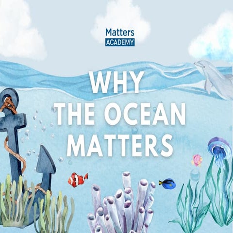 Why The Ocean Matters | PDF