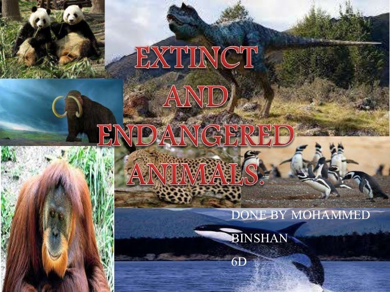 extinct and endagered animals