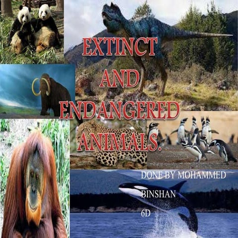 extinct and endagered animals | PPTX
