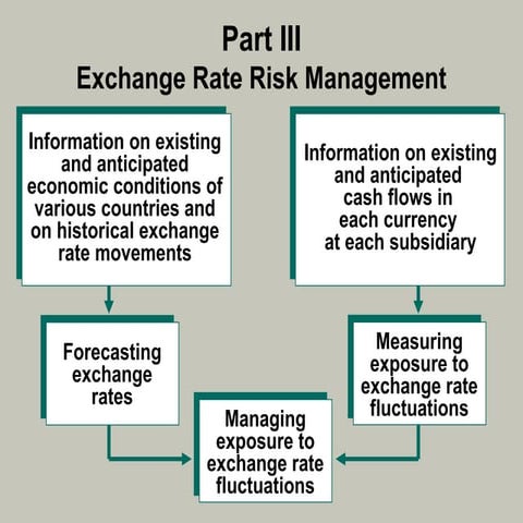 Foreign exchange and risk management _Chapter 10,enhanced10.pptx