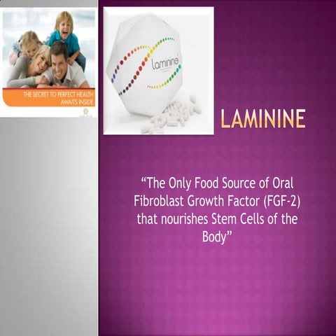 What is Laminine | PPT