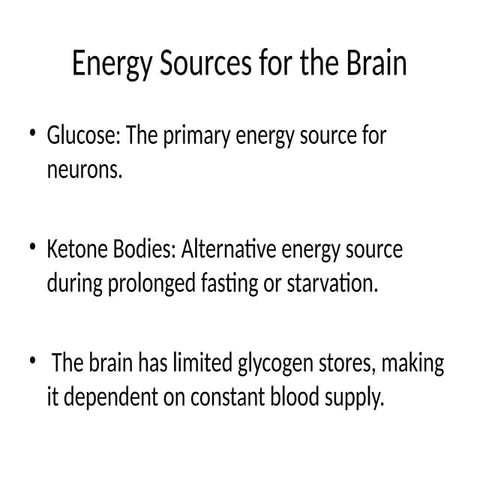 Enhanced_Metabolism_of_Nervous_System_Presentation.pptx