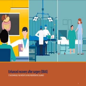 Enhanced Recovery After Surgery ERAS: Principles and Clinical Practice ...