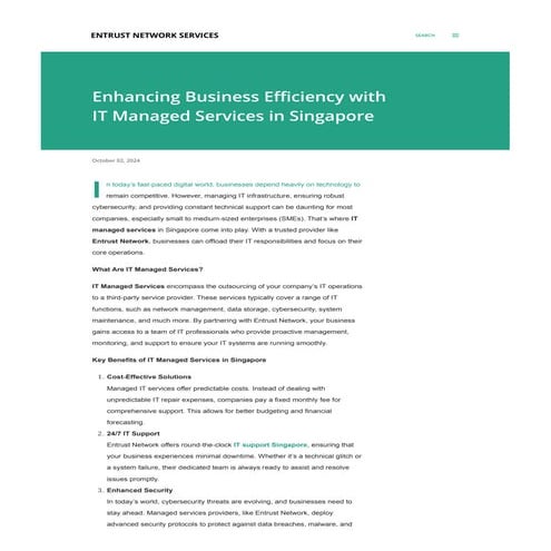 Enhancing Business Efficiency with IT Managed Services in Singapore.pdf