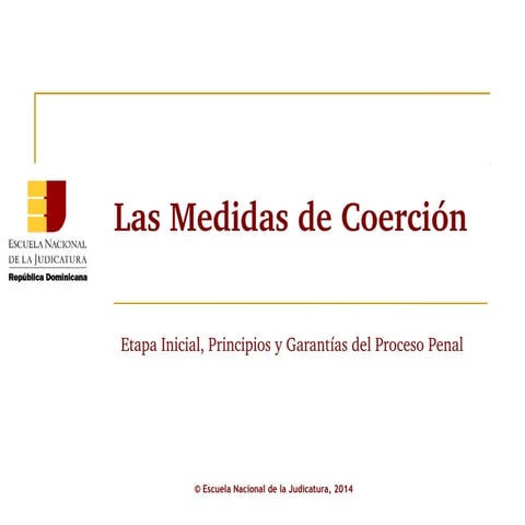 ENJ-300: Las Medidas de Coerción | PPT