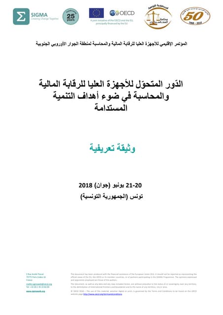 Audit report 2018 Arabic | PDF