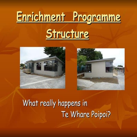 Enrichment programme structure | PPT | Primary Education | Education