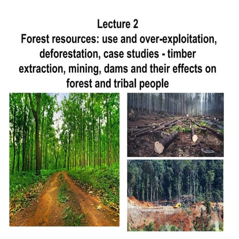 Forest resources.pptx