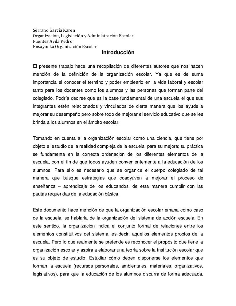 Ejemplo De Ensayo Academico