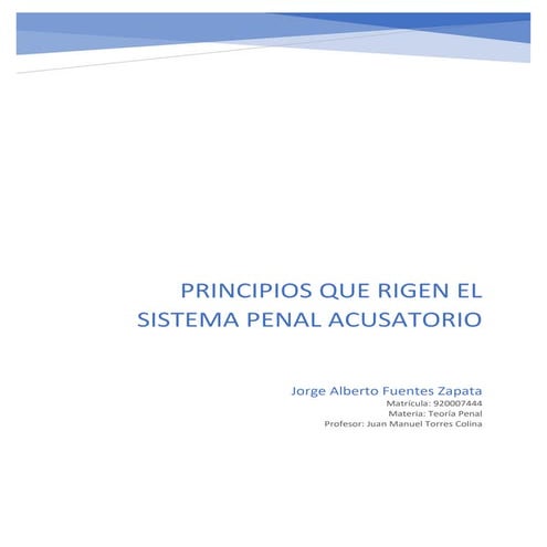 PRINCIPIOS QUE RIGEN EL SISTEMA PENAL ACUSATORIO - MEXICO - JORGE ...