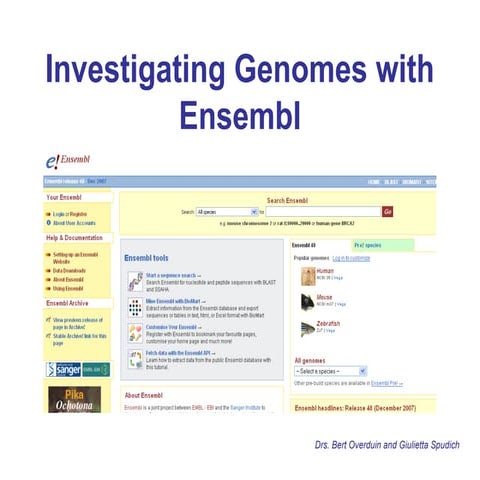 Investigating Genomes with Ensembl | PPT