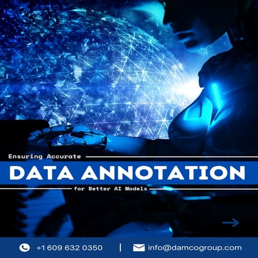 Ensuring Accurate Data Annotation for Better AI Models | PDF