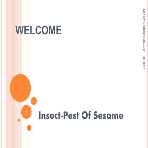 insect-pest of sesame | PPTX