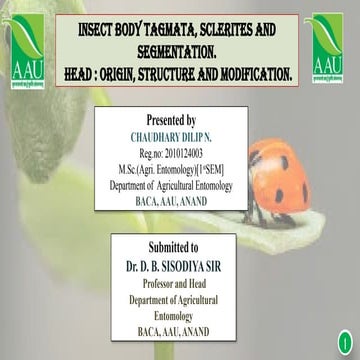 Head and its appendages of insects | PPTX