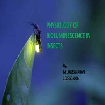 Physiology of bioluminescense in insects | PPT