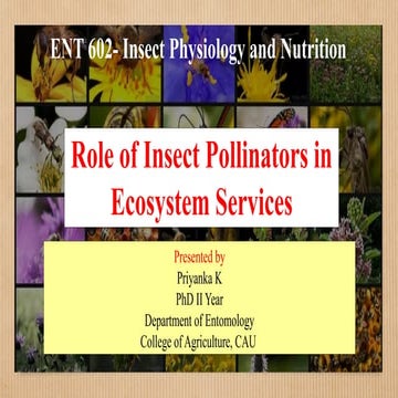 role of insect pollinators in ecosystem services. pptx | PPTX