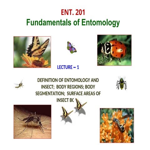 Ent 201 1st lecture.p agricultural pests | PPT | Biological Sciences ...