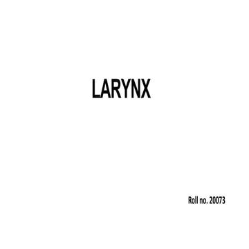 Histology of pharynx & larynx | PPTX