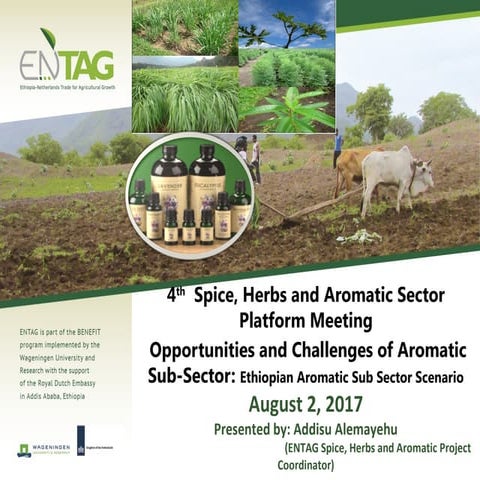 Entag presentation on 4th spice platform meeting | PPT