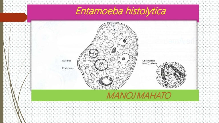 Entamoeba by-manoj