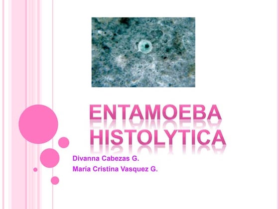 Makalah entamoeba histolytica | DOCX
