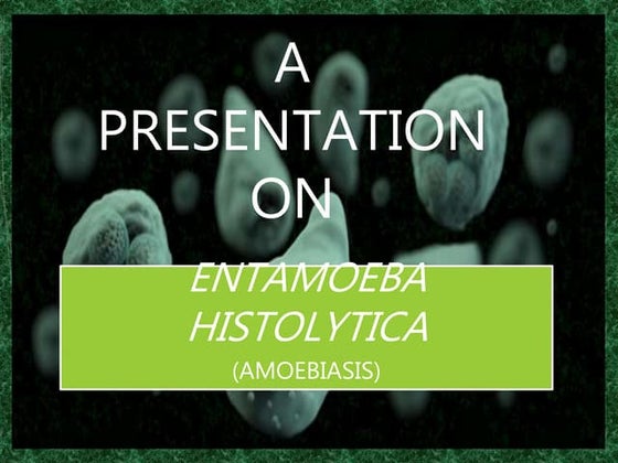 Entamoeba histolytica is an anaerobic parasitic amoebozoan, part of the ...
