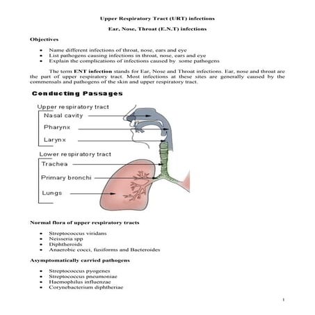 ENT and eye infections Notes.pdf