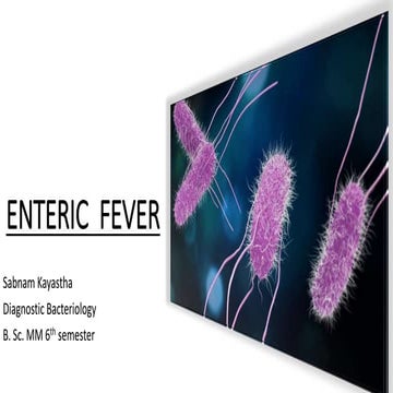 ENTERIC FEVER.pptx