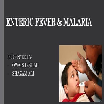 ENTERIC FEVER AND MALARIA.pptx pediatrics lecture | PPTX