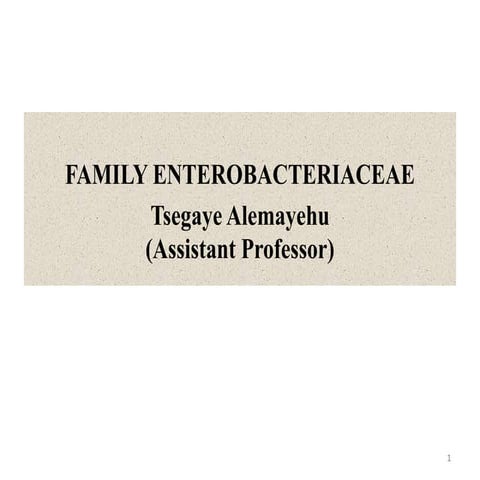 Enterobacteriaceae | PPT