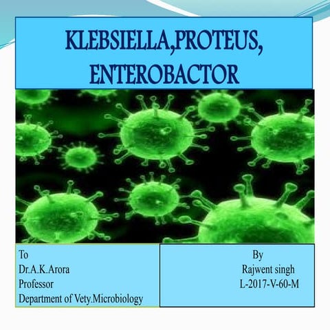 ENTEROBACTER AND PROTEOUS bacterial.pptx