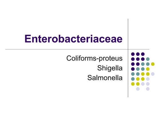 Identifying Unknown Bacteria Lab | PDF