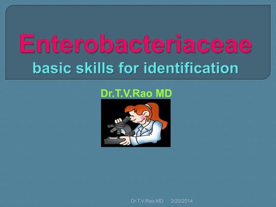 Enterobacteriaceae , Enterobacter and their Biochemical Test | DOCX