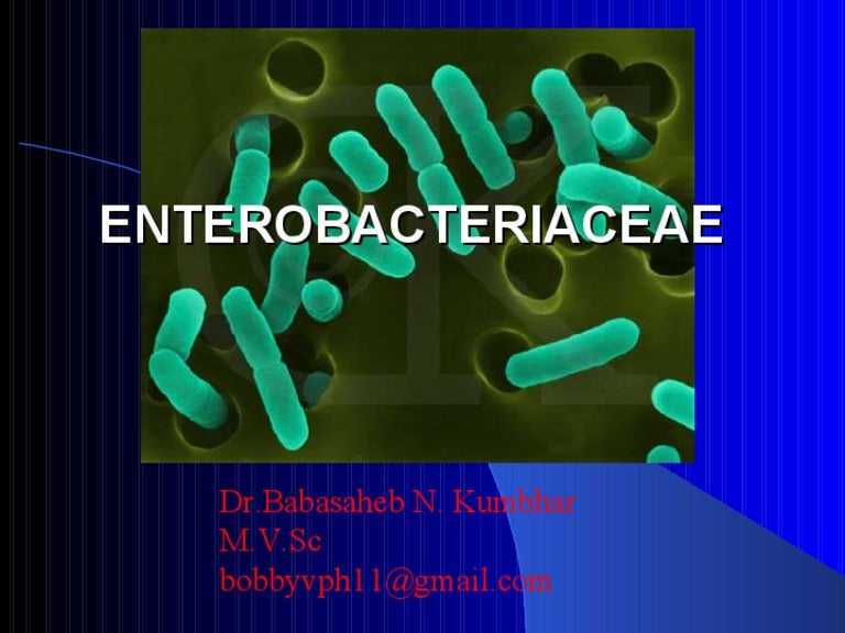 Enterobacteriaceae