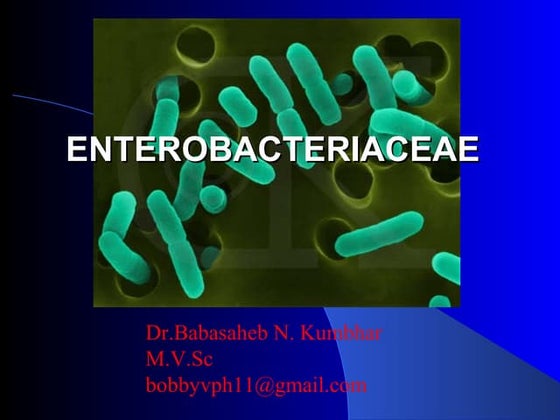 Enterobacteriaceae , Enterobacter and their Biochemical Test | PDF
