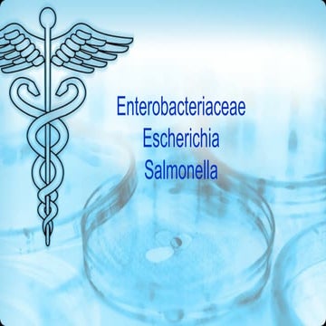Enterobacteriaceae | PPT