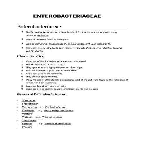 Enterobacteriaceae | DOCX