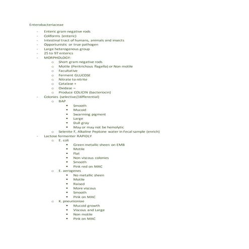 Enterobacteriaceae | DOCX | Digestive Disorders | Diseases and Conditions