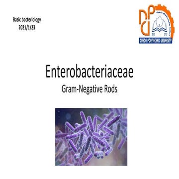 Enterobacteriaceae.pptx