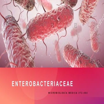 ENTEROBACTERIACEAE.pptx
