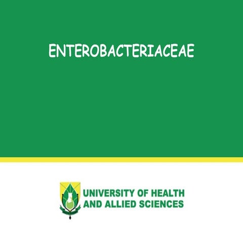 ENTEROBACTERIACEAE.pptx uhas slides on enterobacteriae | PPTX