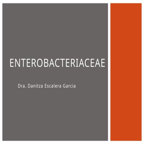 enterobacteriaceae.pptx microbiologia medica | PPTX