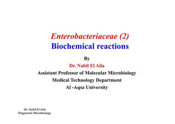 Enterobacteriaceae , Enterobacter and their Biochemical Test | DOCX