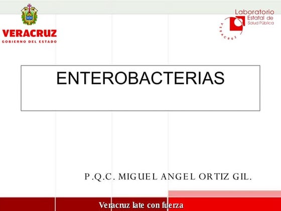 Klebsiella spp | PPTX | Digestive Disorders | Diseases and Conditions