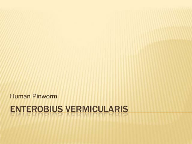 Enterobius vermicularis(PINWORM) | PPTX