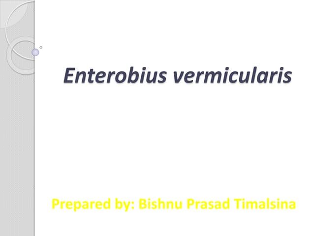 Enterobius vermicularis(PINWORM) | PPTX