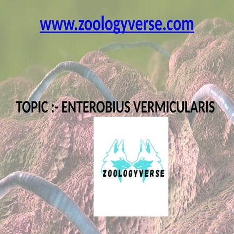 Enterobius-vermicularis-The-Pinworm.pptx
