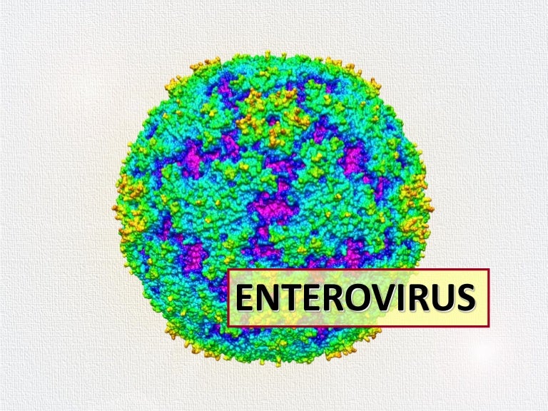 Enterovirus a71