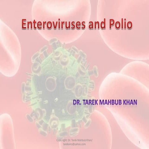 Enteroviruses and polio | PDF