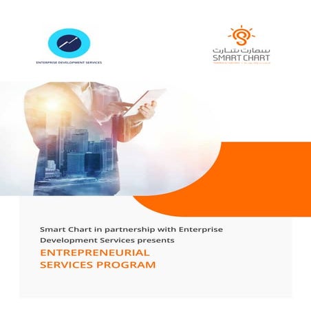 Enterprenurship programs | PDF
